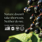 30 count elderberry capsules for daily health