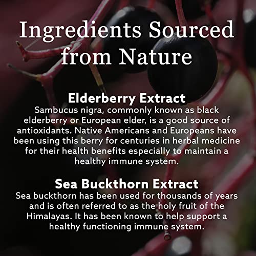 30 count elderberry tablets pack