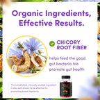 30 count fiber gummies for daily wellness