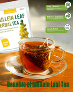 30 count mullein tea bags convenience