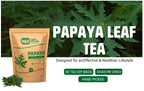 30 count papaya leaf tea bags
