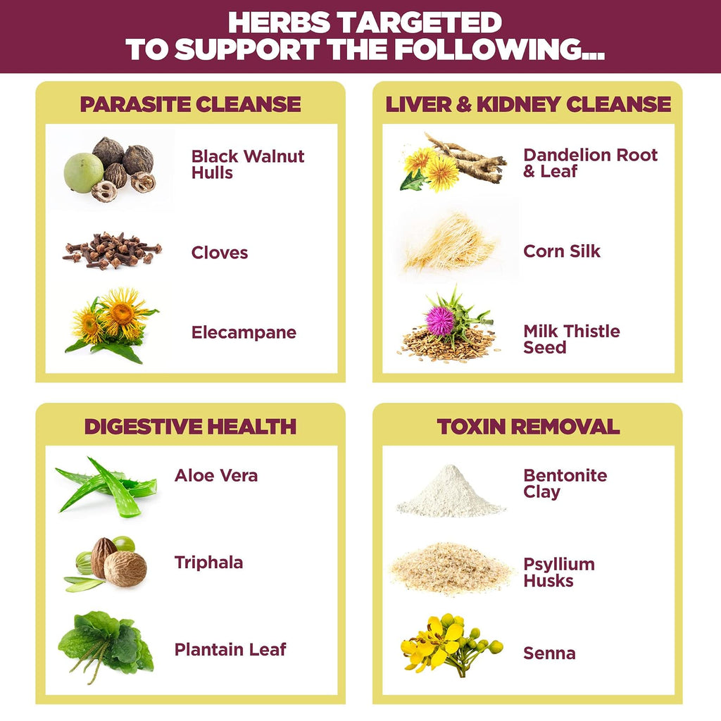 30 day internal cleansing program