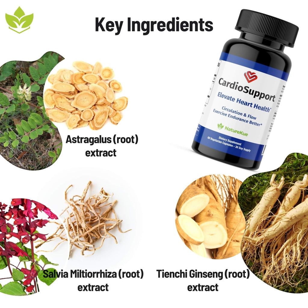30-day supply of astragalus capsules