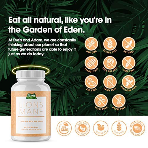 30-day supply of Lions Mane capsules