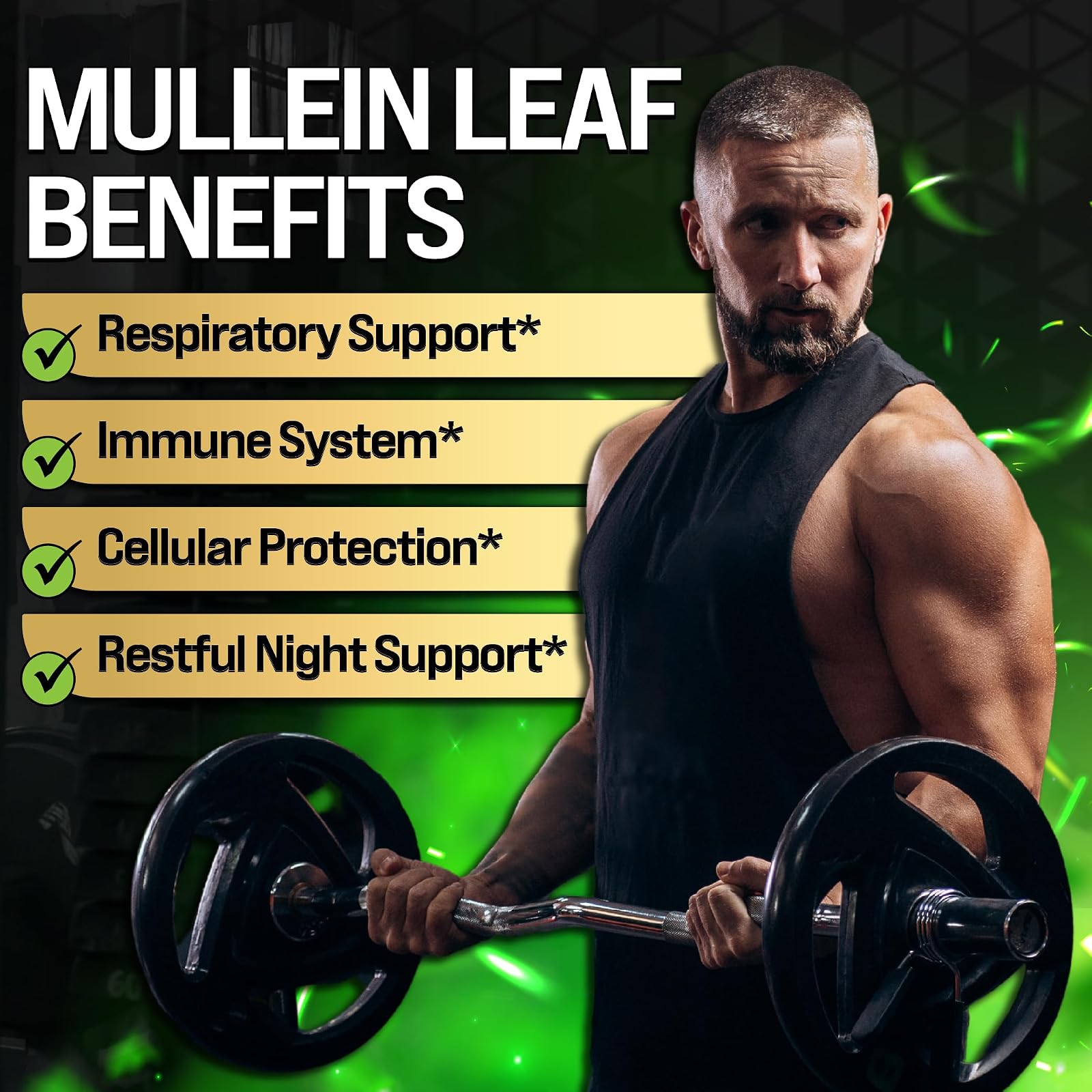 30 day supply of mullein extract