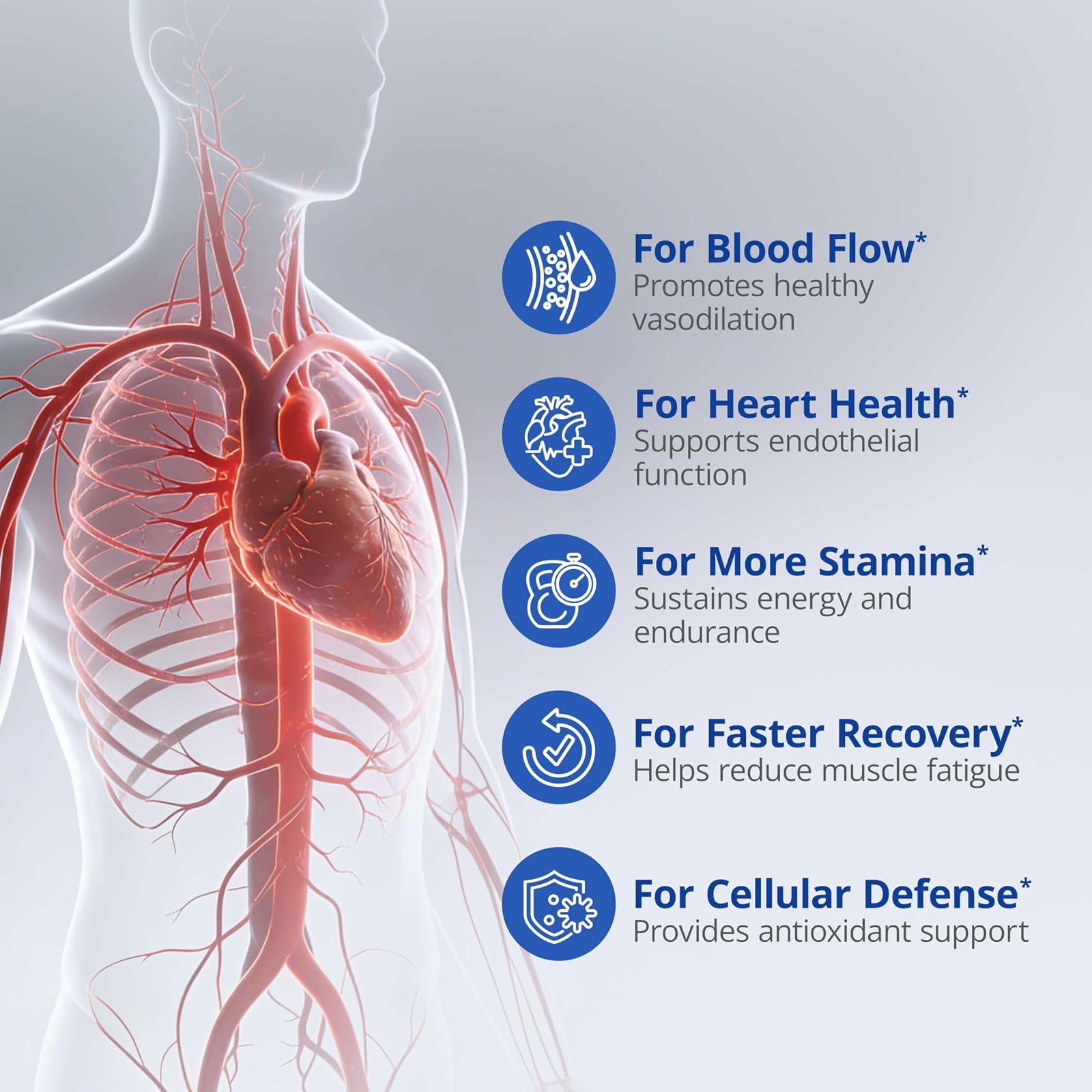 30-day supply of ViNitrox amino acids