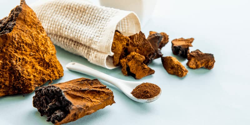 30 grams of organic chaga mushrooms