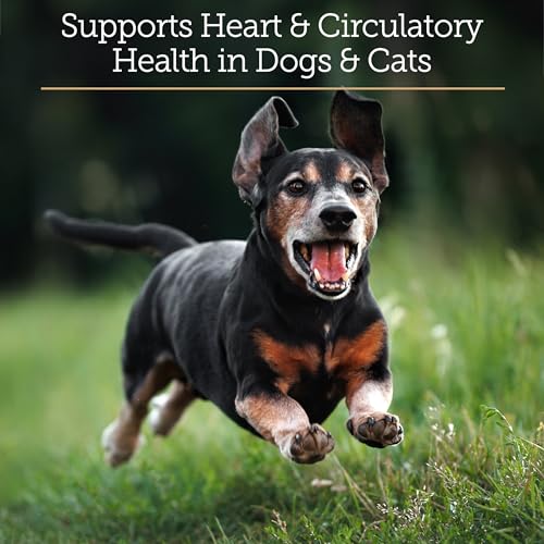30 mg CoQ10 for heart health