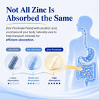 30 mg Zinc capsules for health