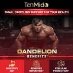 30 ml dandelion extract for wellness