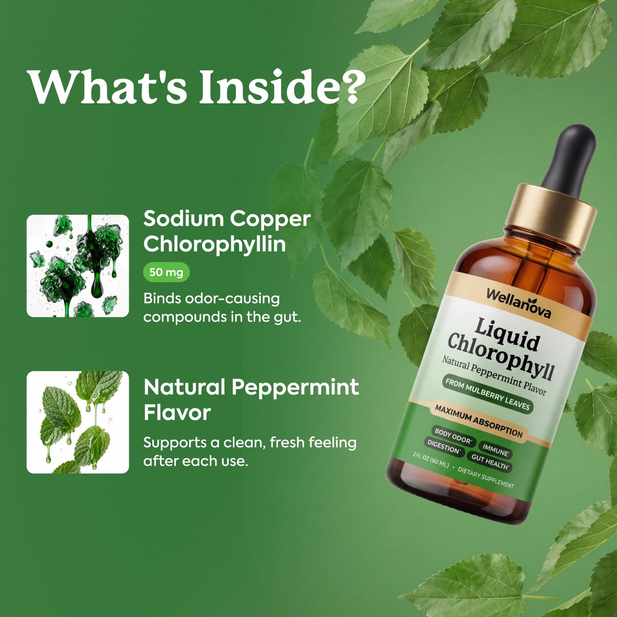 30 ml herbal chlorophyll supplement