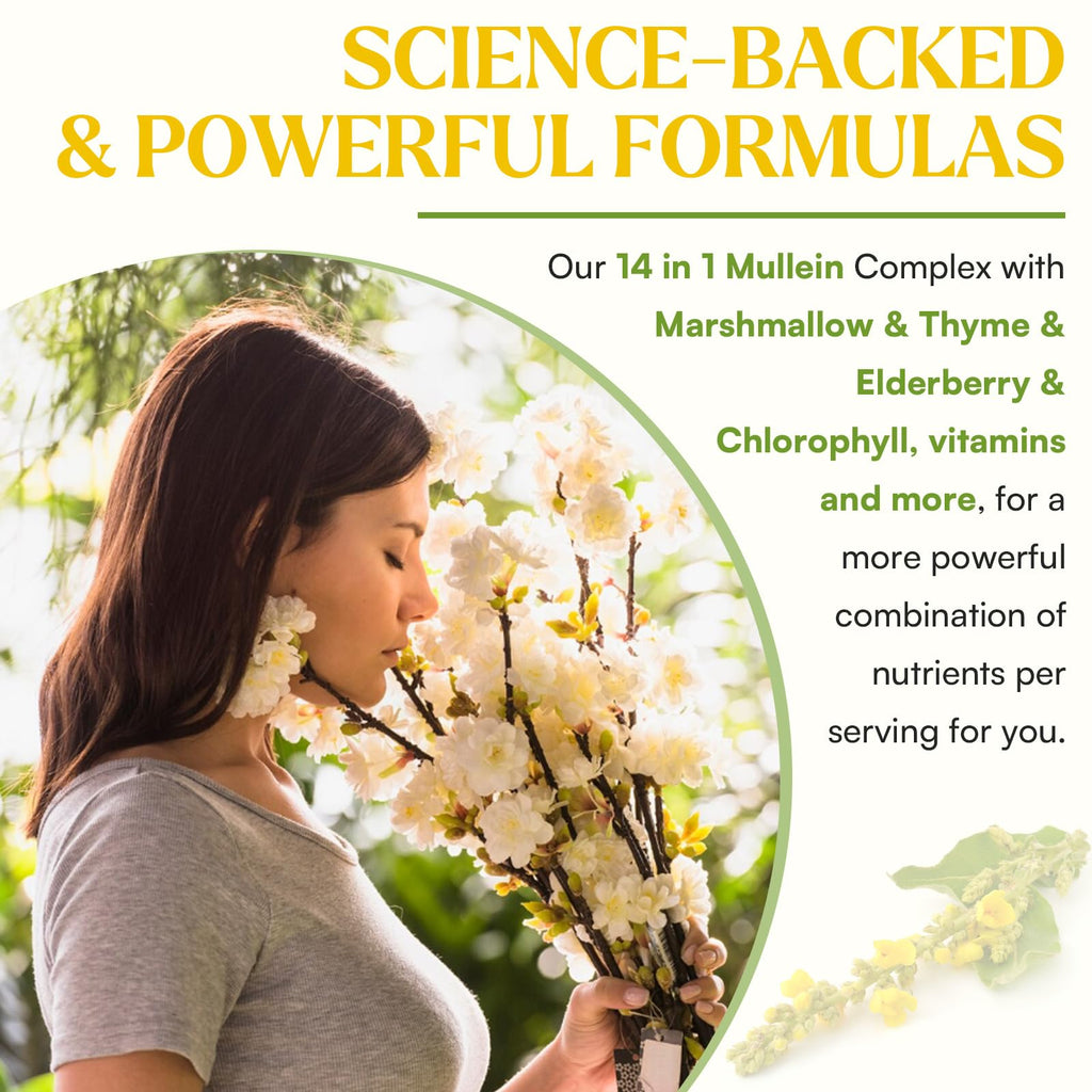 30 ml Mullein liquid supplement