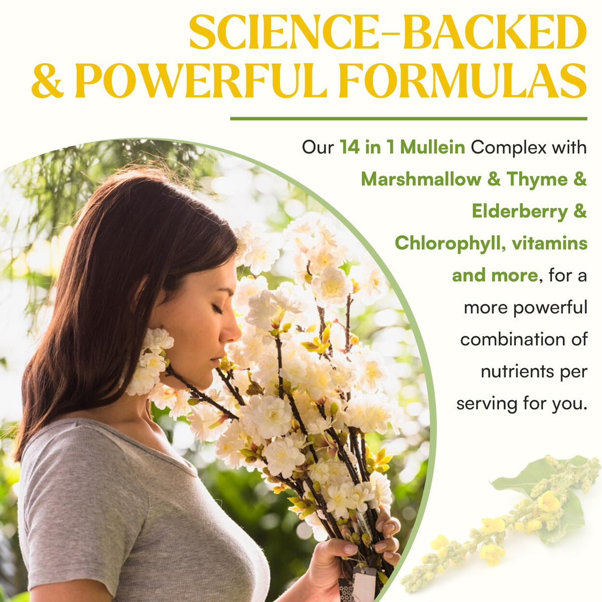 30 ml Mullein liquid supplement