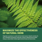 30 ml Polypodium Leucotomos immune support