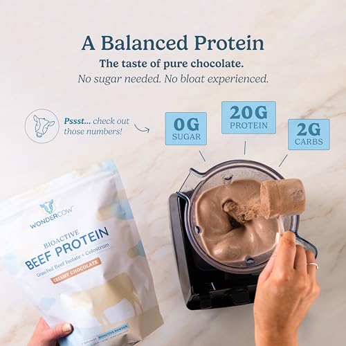 30 servings of chocolate protein
