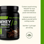 30 servings of chocolate protein