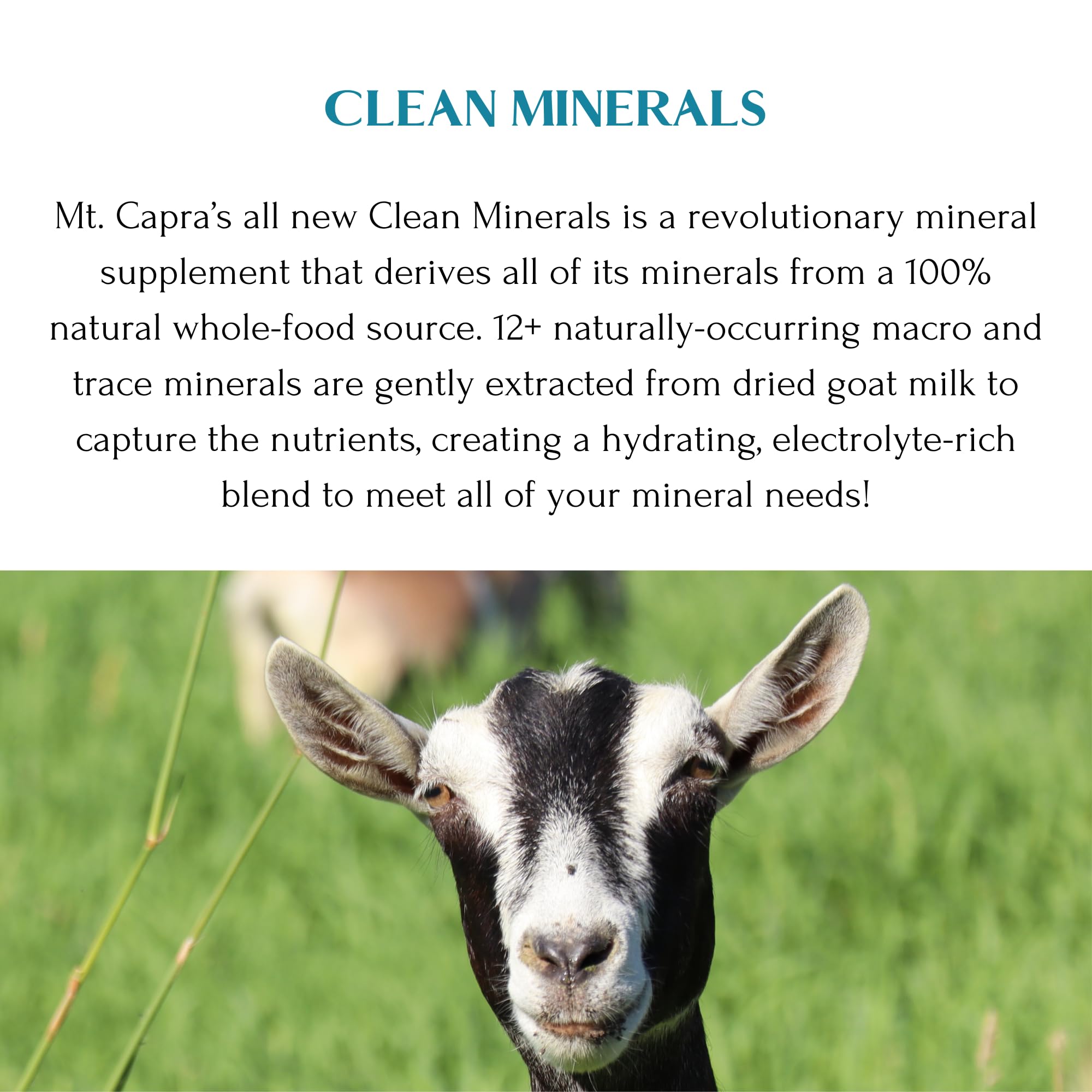 30 servings of clean minerals