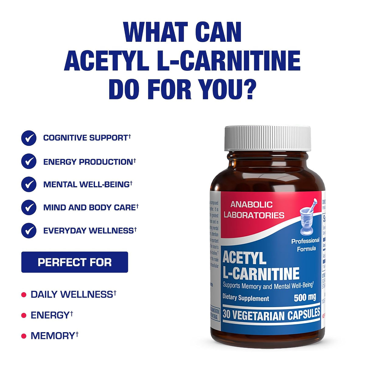 30 servings of L-Carnitine