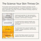 30 servings of marine collagen