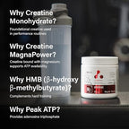 30 servings of Myoprime creatine