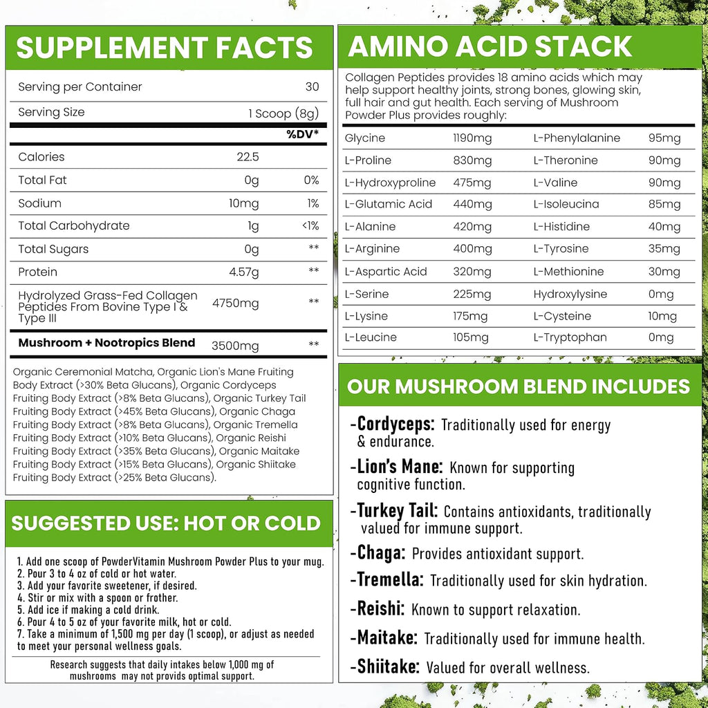 30 servings of organic matcha mushrooms