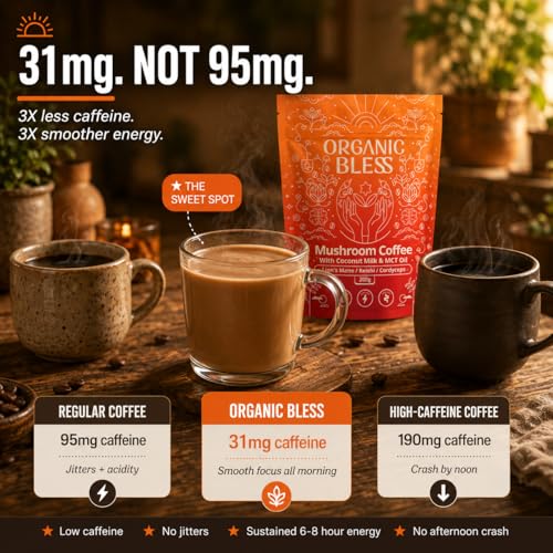 30 servings of organic mushroom blend