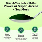 30 servings of super greens nutrition