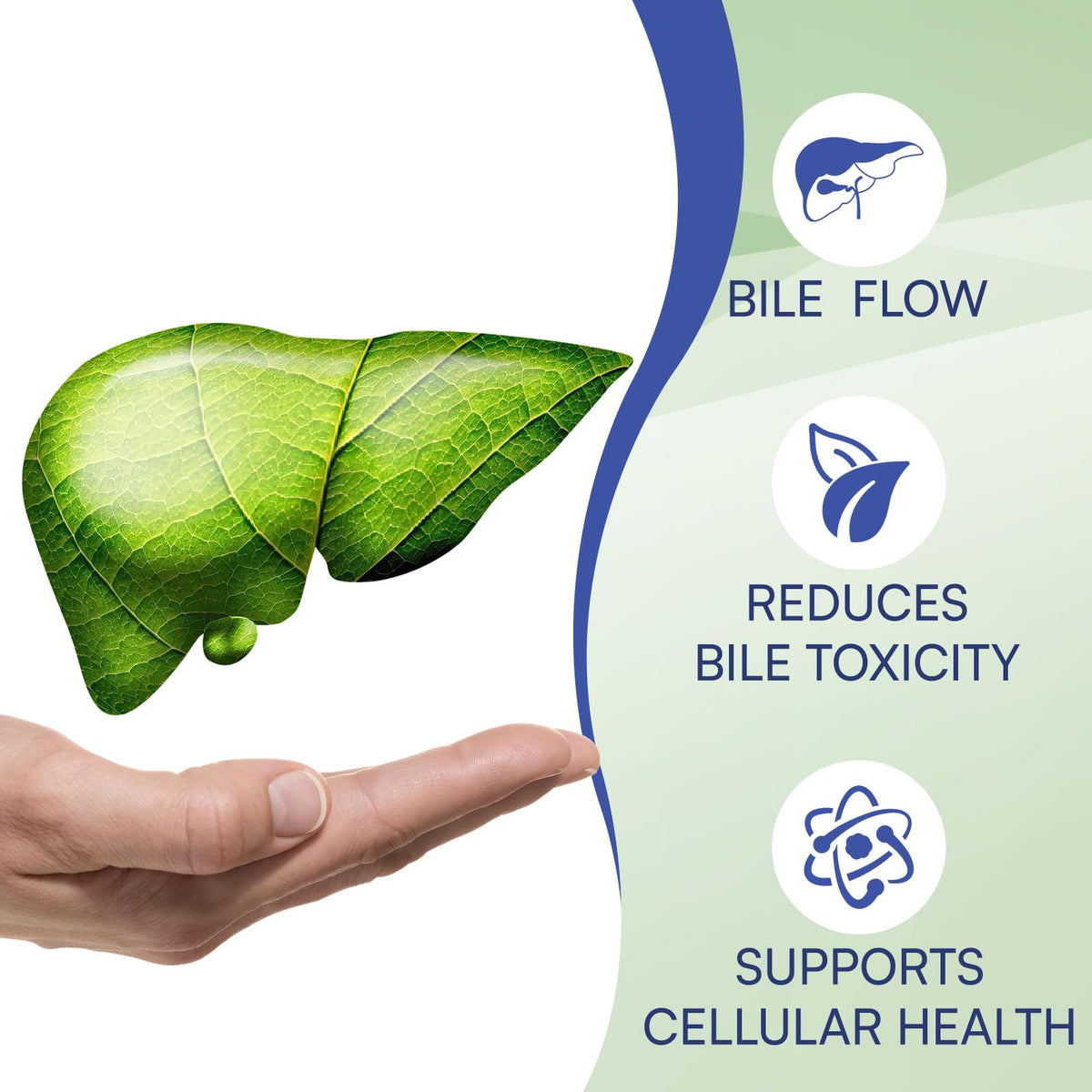 30 servings of TUDCA powder benefits