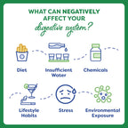 30 vegan capsules of probiotics