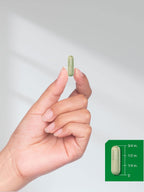 300 capsules of echinacea extract