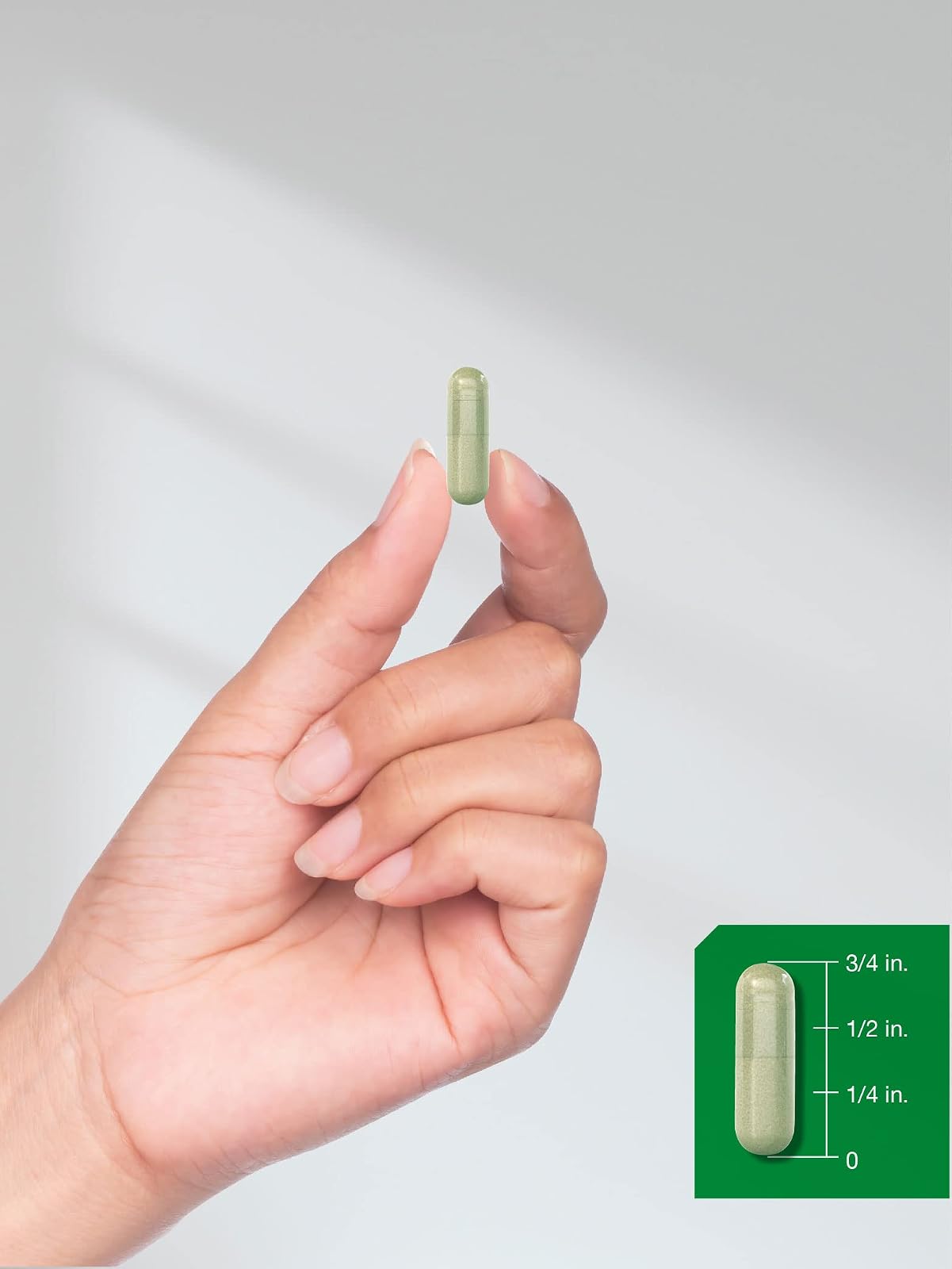 300 capsules of echinacea extract