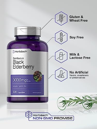 300 count elderberry capsules for convenience