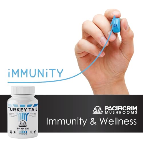 300 count Turkey Tail mushroom capsules