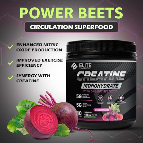 300 g creatine for endurance training