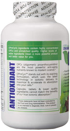 300 g herbal supplement for vitality