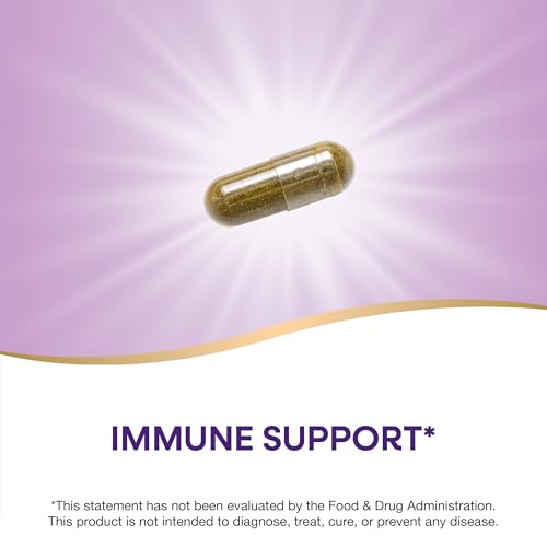 300 mg Andrographis extract benefits