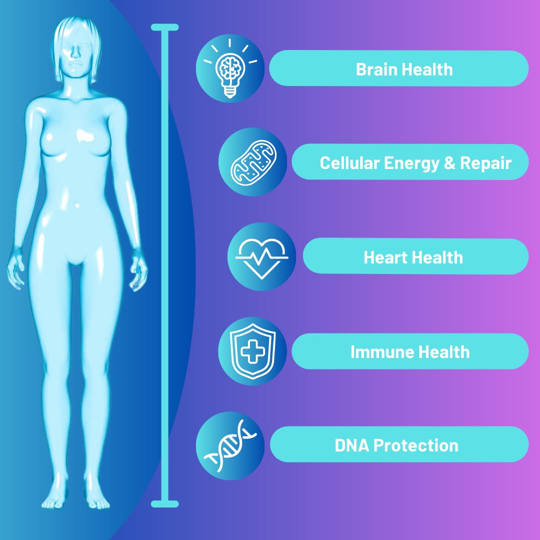 300 mg capsules for daily wellness
