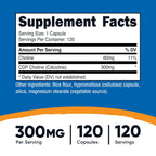 300 mg choline supplement for brain health