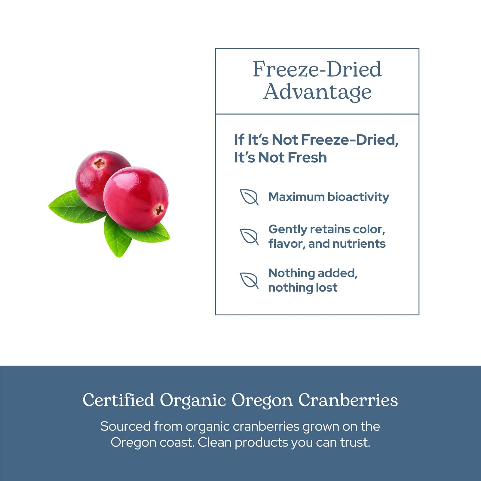 300 mg cranberry capsules for vitality