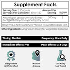 300 mg Dihydromyricetin for cognitive support