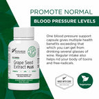 300 mg Grape Seed Extract dosage