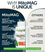 300 mg magnesium bisglycinate formula