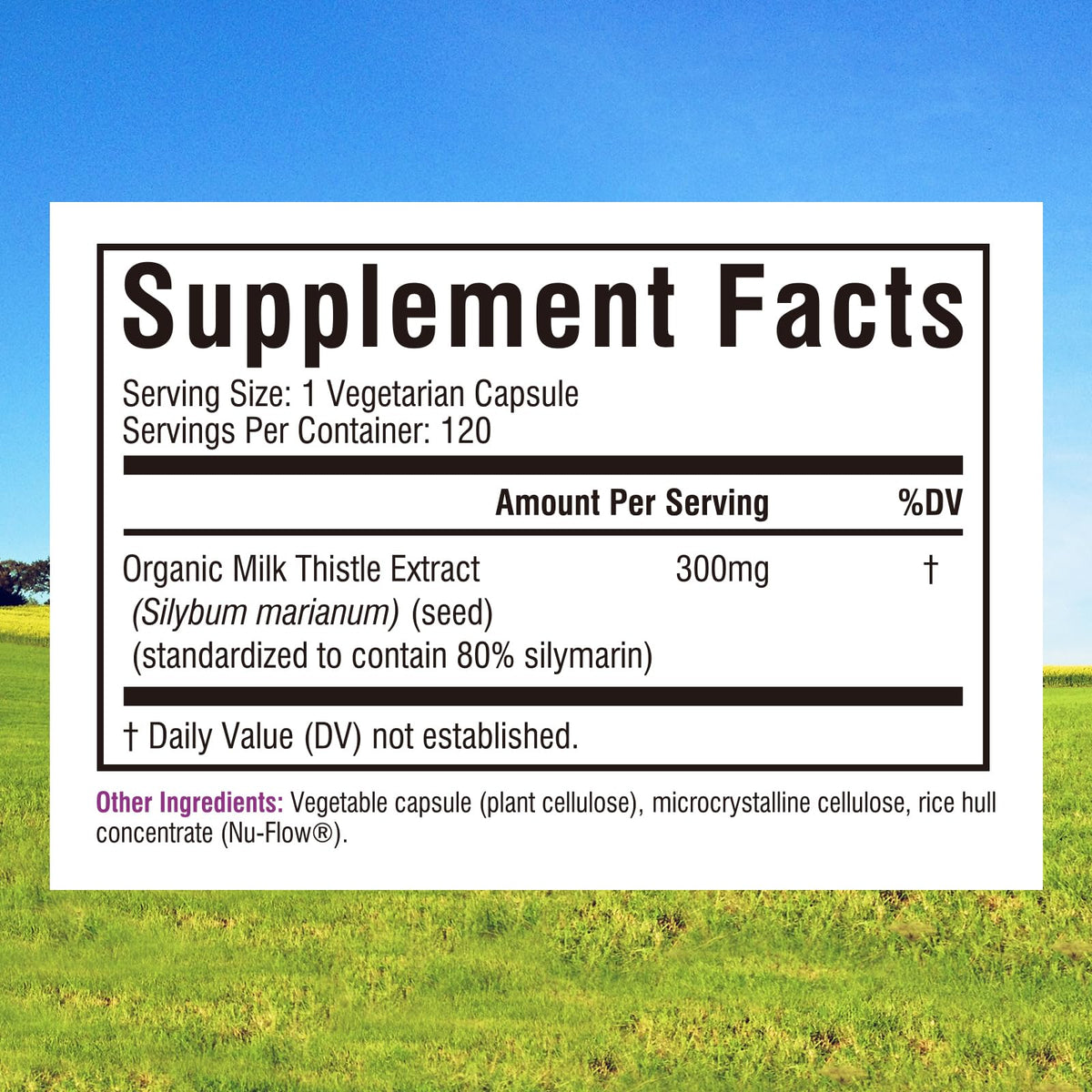 300 mg Milk Thistle for liver health