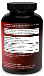 300 mg milk thistle for liver health