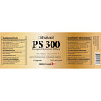 300 mg multivitamin for cognitive health