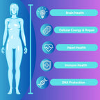 300 mg NAD capsules for energy