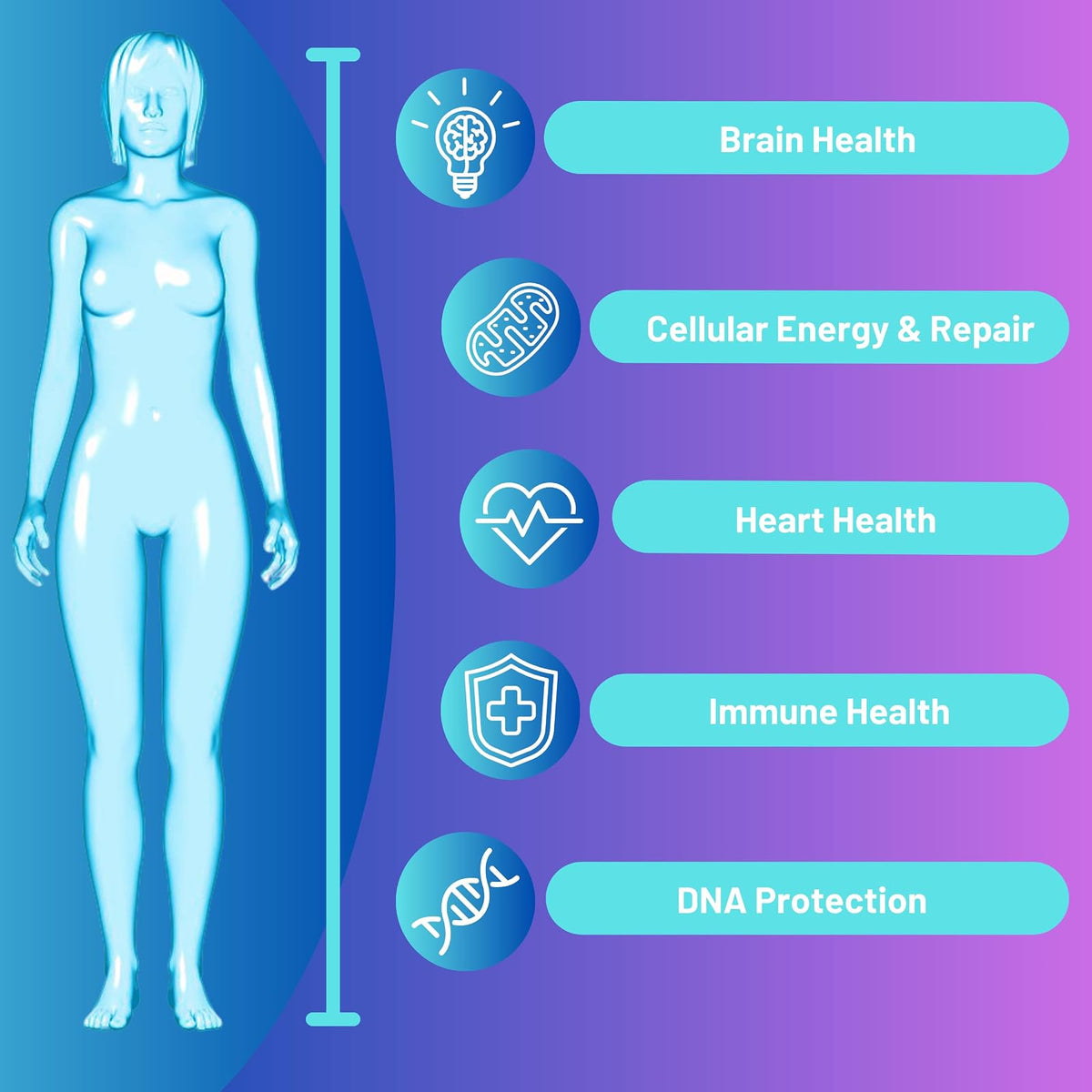 300 mg NAD capsules for energy