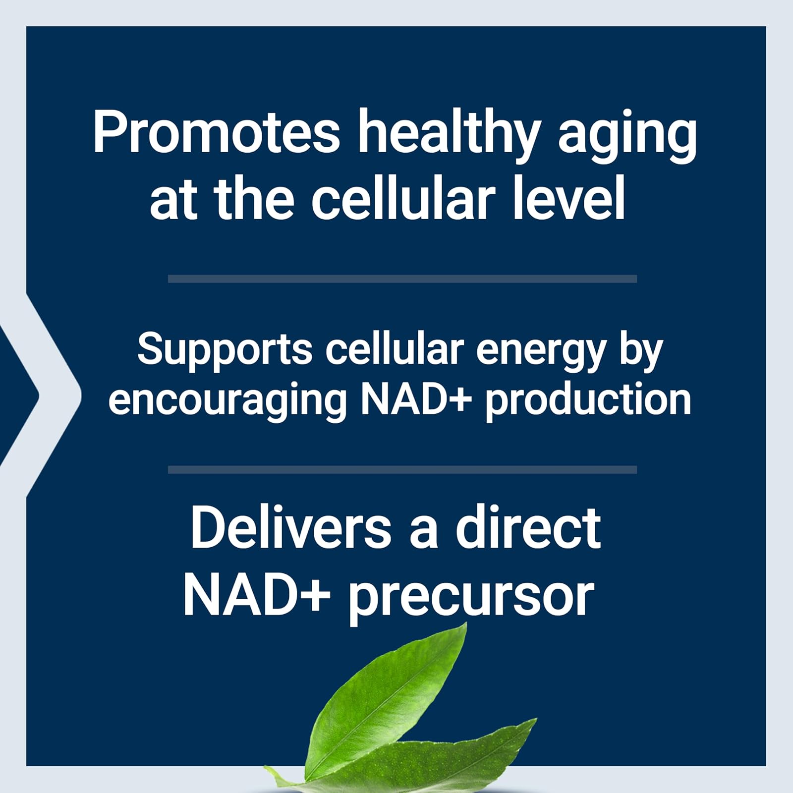 300 mg NAD+ supplement benefits