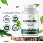 300 servings of pure berberine