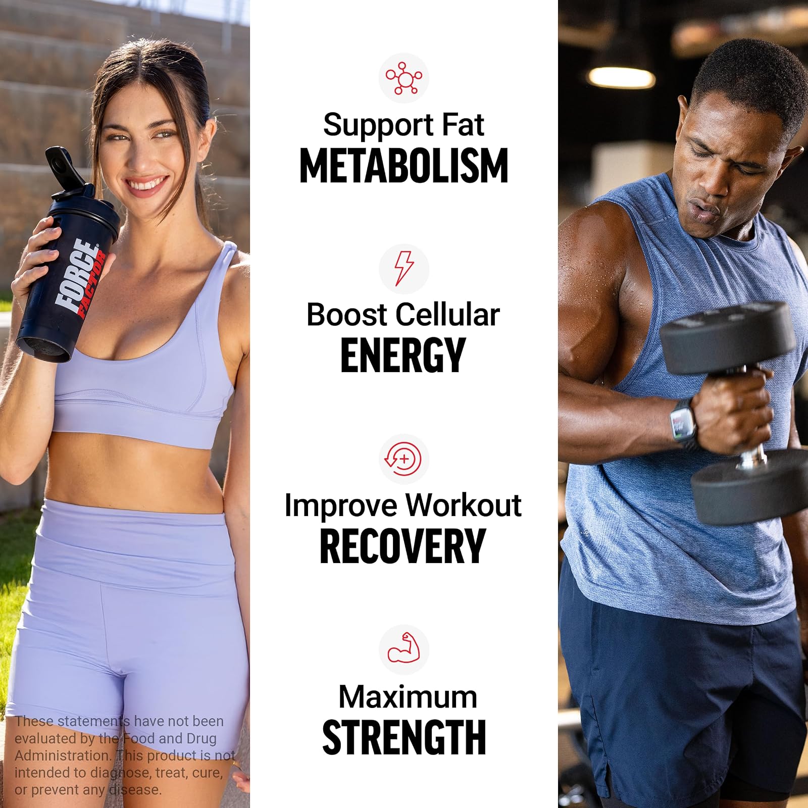 3000 mg acetyl L-Carnitine for energy
